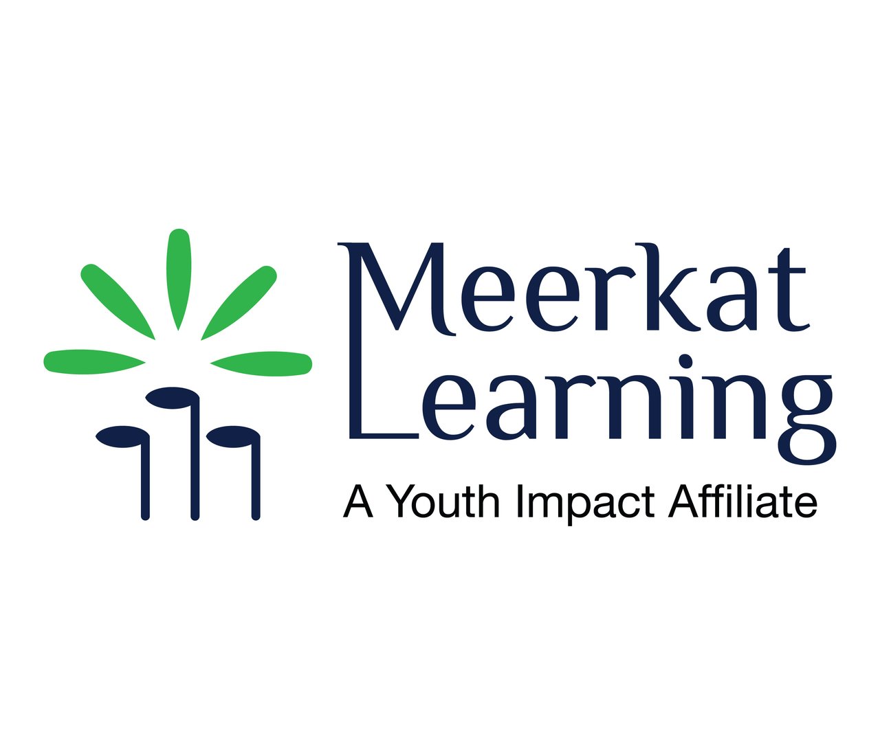 meerkatlearning.org